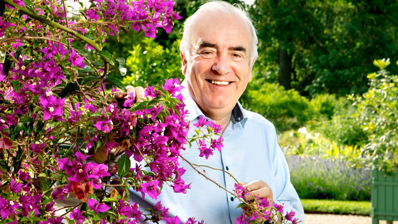 Alain Baraton: "The garden, the most beautiful space to meditate"