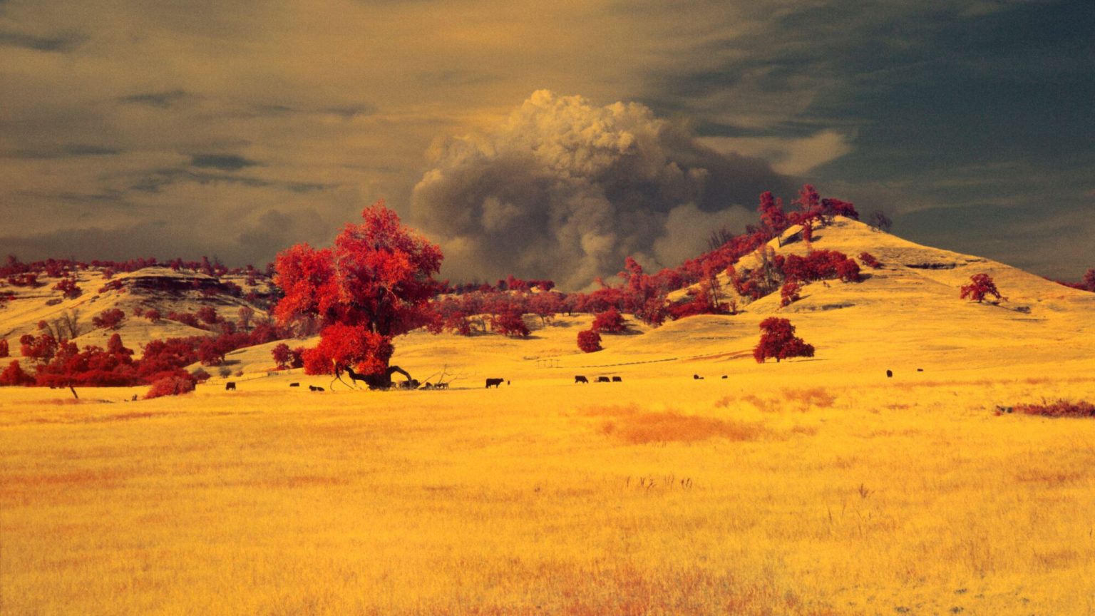 (In pictures) The American city of Paradise is trying to rebuild after ...
