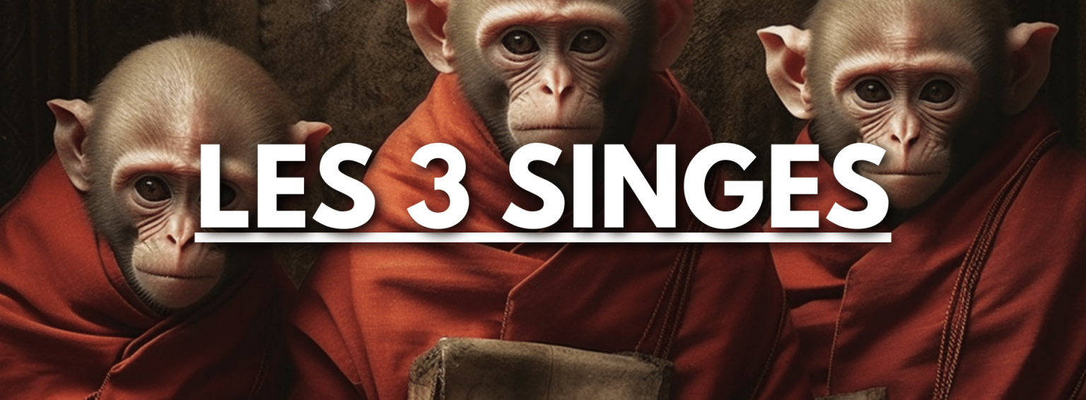 The 3 Wise Monkeys｜The Meaning of the Secret
