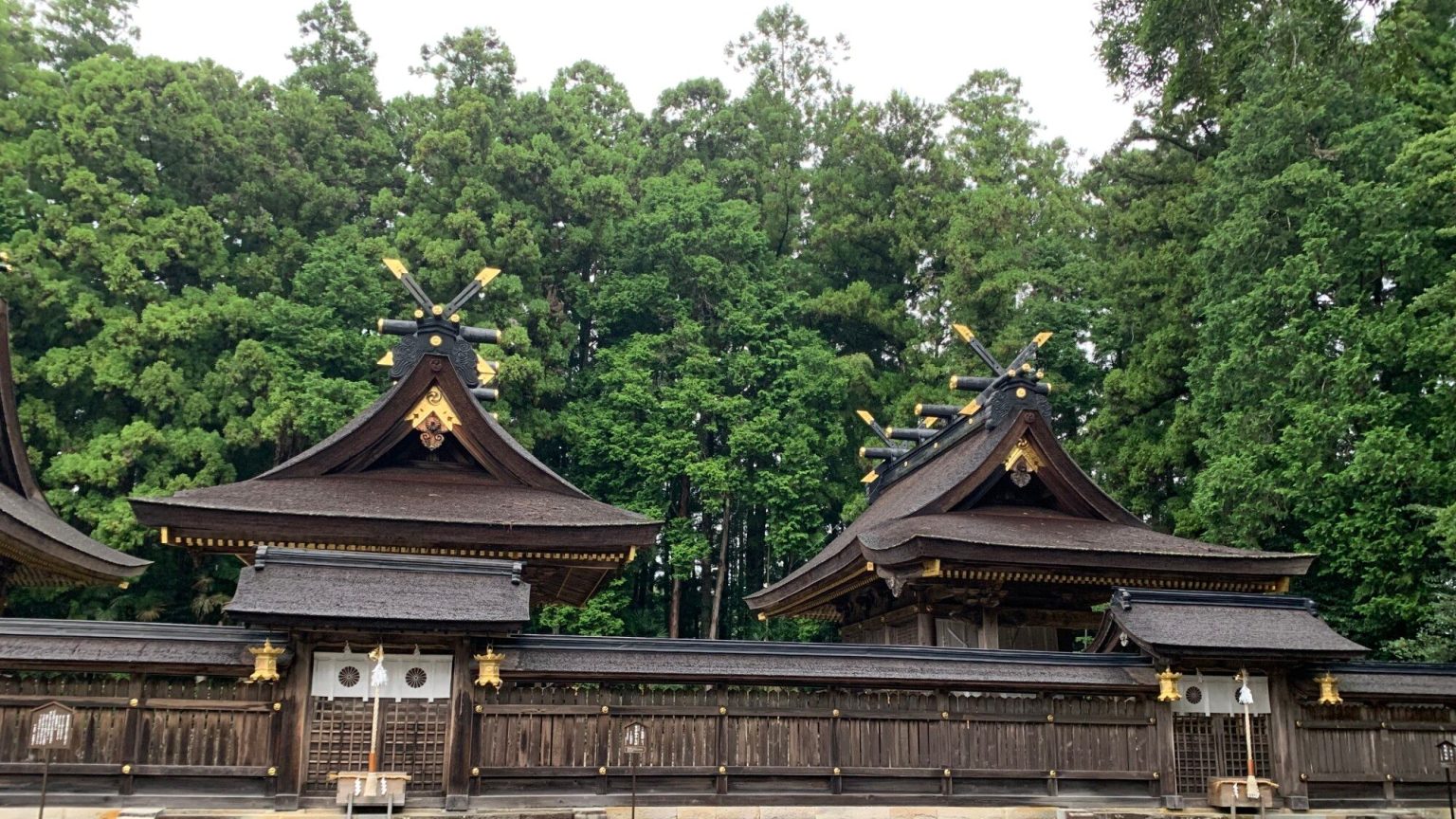 What are the sacred texts of Buddhism?