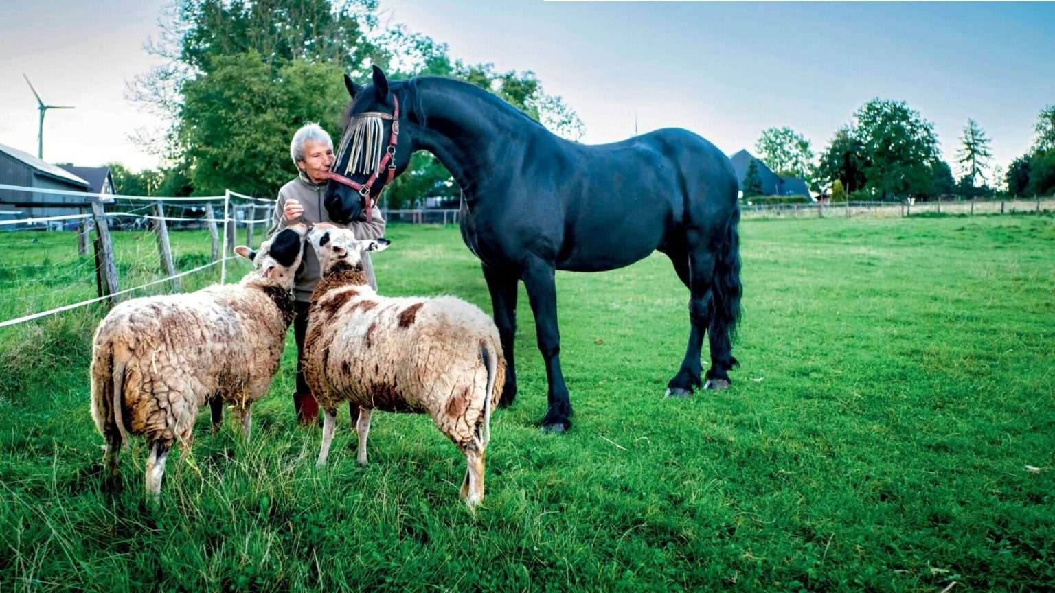 (In pictures) In Germany, a large half-timbered farm is transformed ...