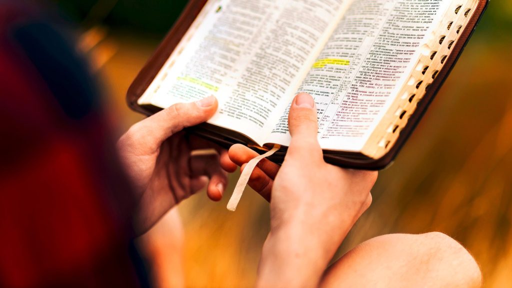 How to read biblical references?