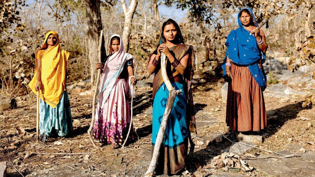 In Rajasthan, tribal women save precious trees from the Indian desert