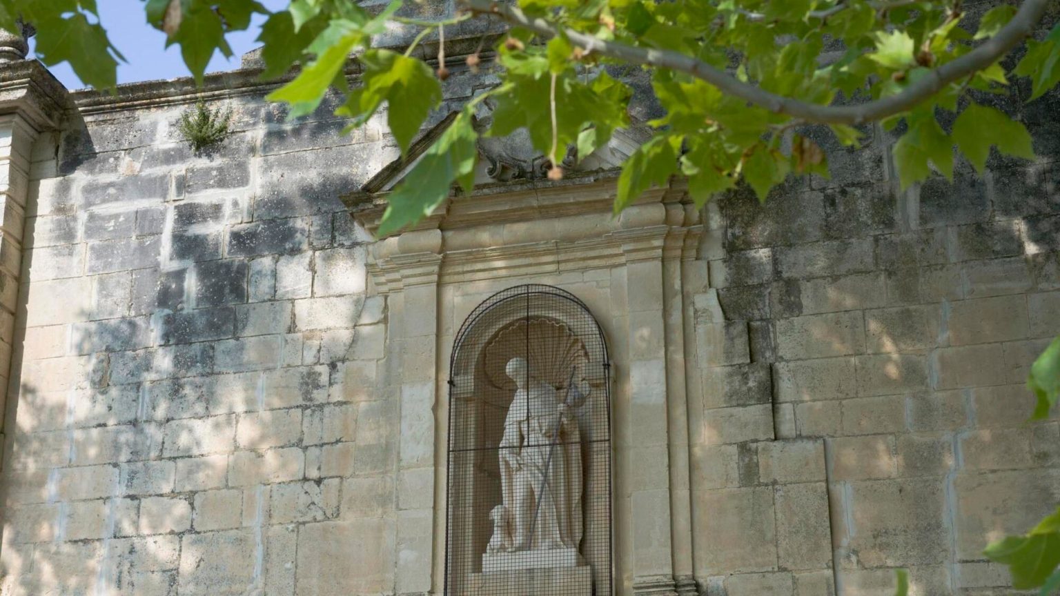Saint Roch, the Montpellier Saint that the plague has not defeated